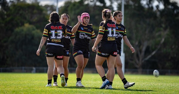 Gallant Panthers fall to ladder-leading Steelers | Official website of ...