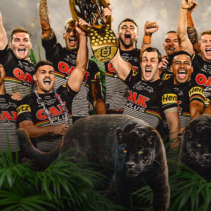 Take the Pledge and become part of Panthers history | Official website ...