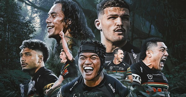 2024 Panthers memberships available now | Official website of the ...