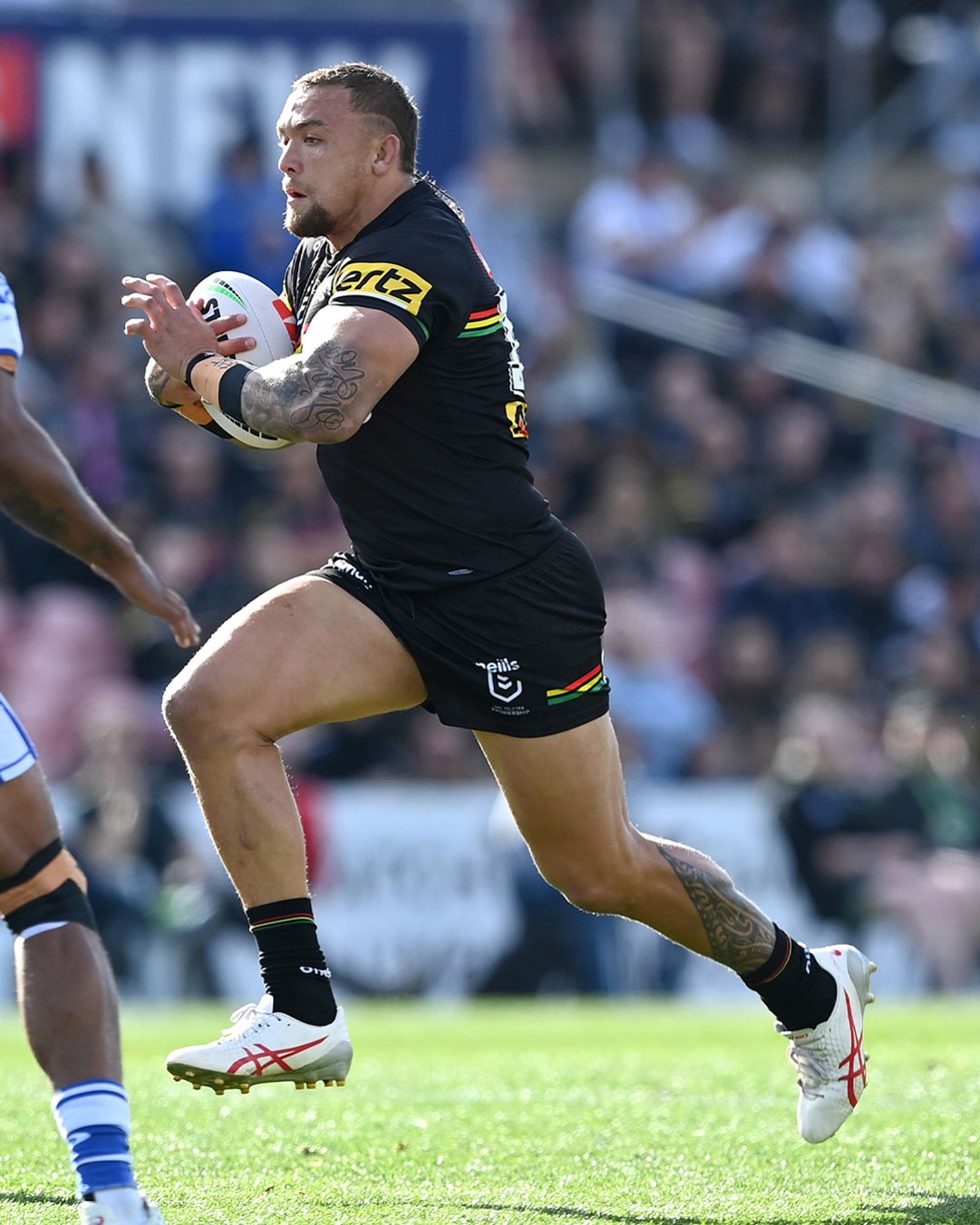 OAK Plus Gallery: Panthers v Bulldogs | Official website of the Penrith ...