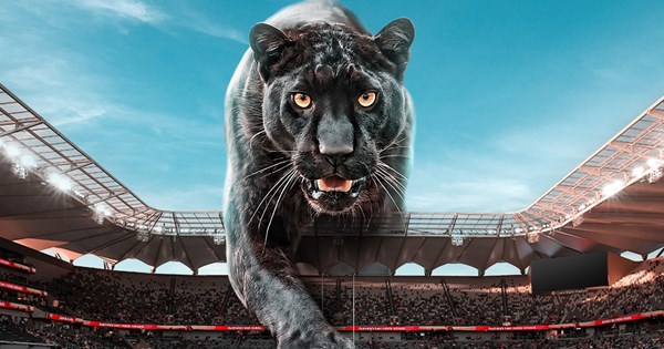 2025 NRL Draw locked in | Official website of the Penrith Panthers