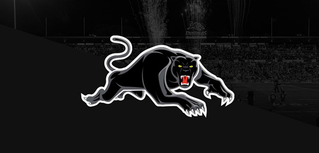 Have your say: BlueBet Stadium redevelopment | Panthers