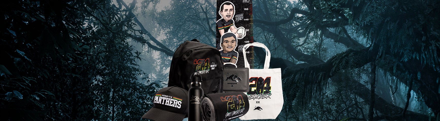 2024 Panthers Member Packs | Panthers Membership - Join the Panthers ...