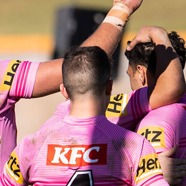 Teams - Panthers | NSWRL