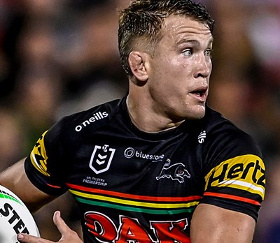 Membership options for every fan | Panthers Membership - Join the ...