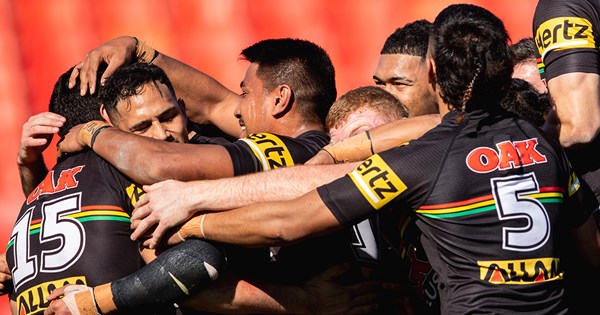 Panthers put young pups to the sword | Official website of the Penrith ...