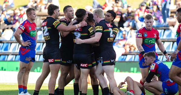 Panthers produce clinical performance to punish Knights | Official ...
