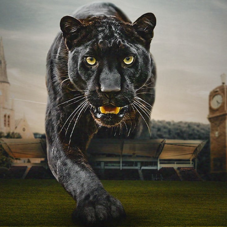 Gallen ready for the Maroons | Official website of the Penrith Panthers