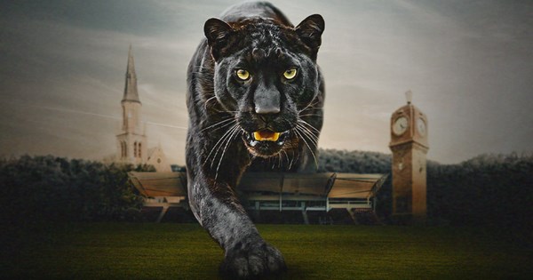 Panthers to play in Mudgee | Official website of the Penrith Panthers