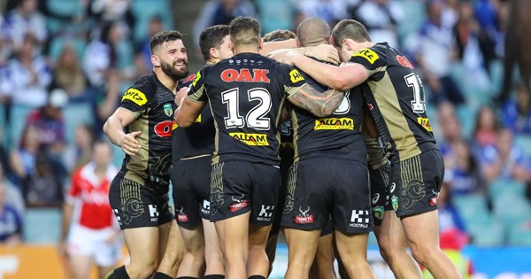 Panthers 2016 Season Review | Official website of the Penrith Panthers