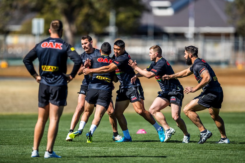 Gallery: Captain's Run | Official website of the Penrith Panthers
