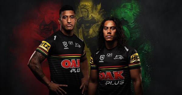 Take the Pledge and become part of Panthers history | Official website ...