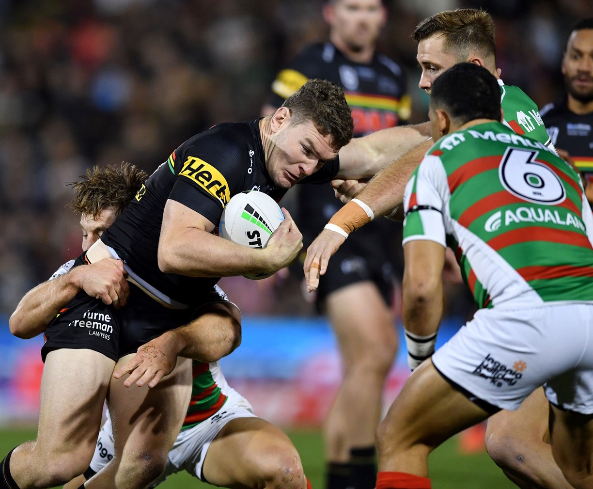 OAK Plus Gallery: Panthers v Rabbitohs | Official website of the ...