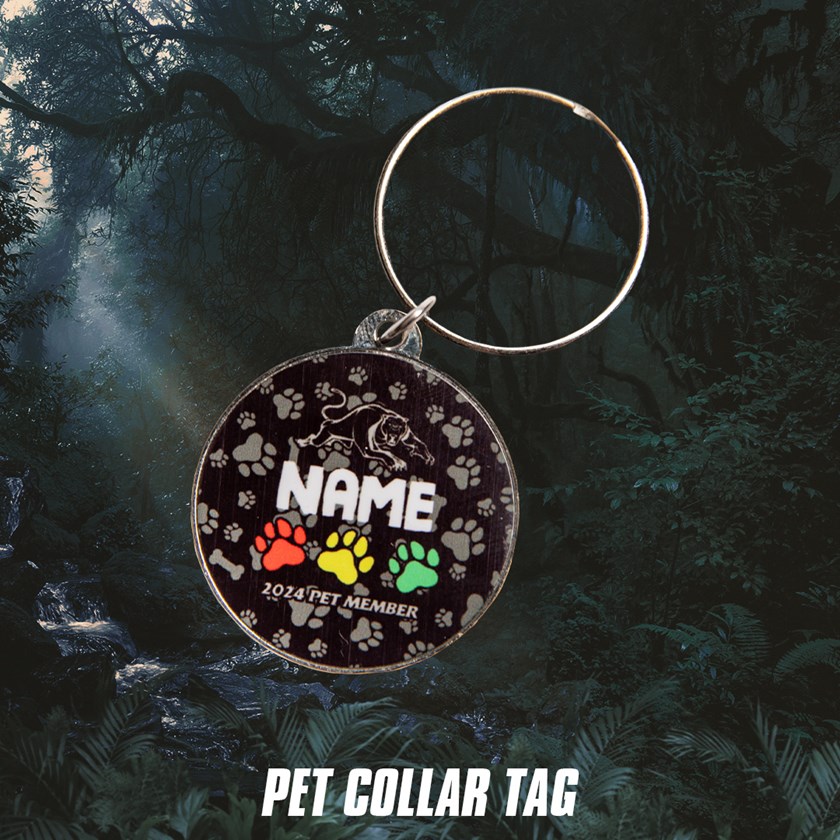 2024 Panthers Member Packs | Panthers Membership - Join the Panthers ...