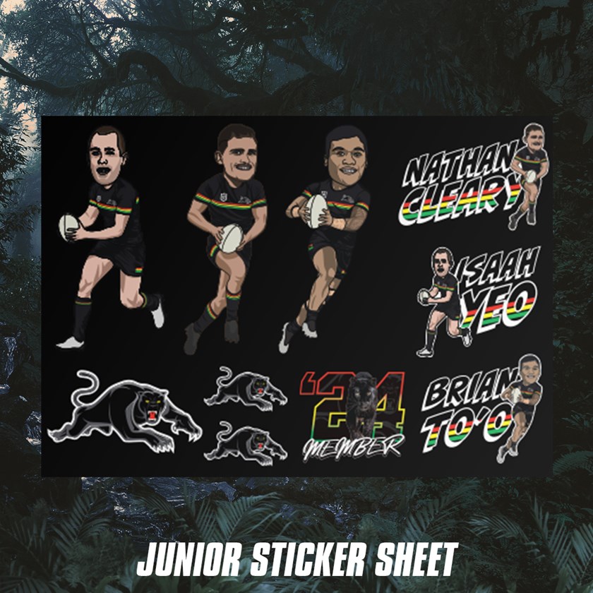 2024 Panthers Member Packs | Panthers Membership - Join the Panthers ...