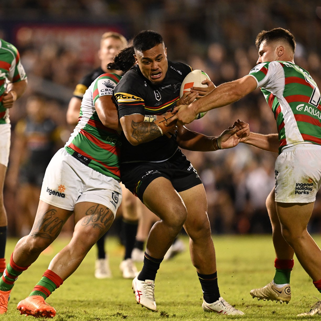 Gallery: Panthers v Rabbitohs | Official website of the Penrith Panthers