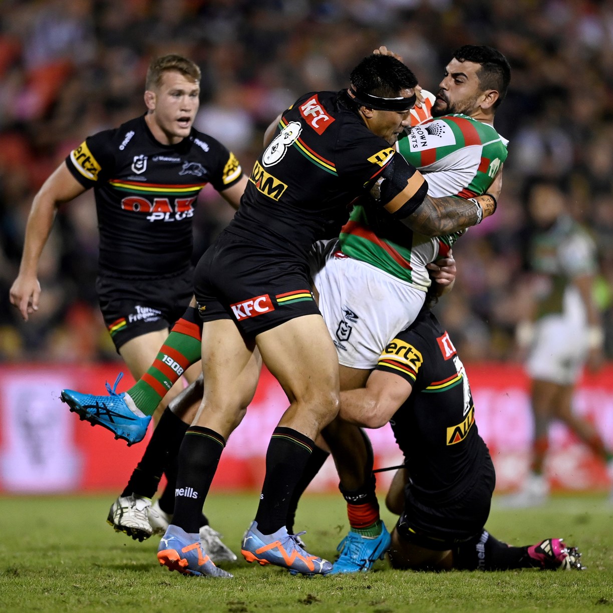 Gallery: Panthers v Rabbitohs | Official website of the Penrith Panthers
